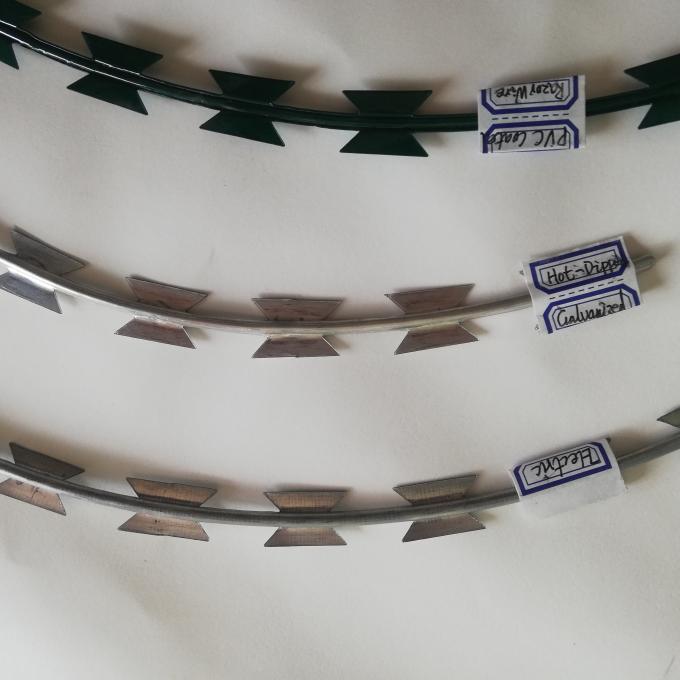 Galvanized Concertina / Thorn Wire , Razor Wire Fence BTO22 Outdoor Using Galvanized Concertina / Thorn Wire , Razor Wire Fence BTO22 Outdoor Using