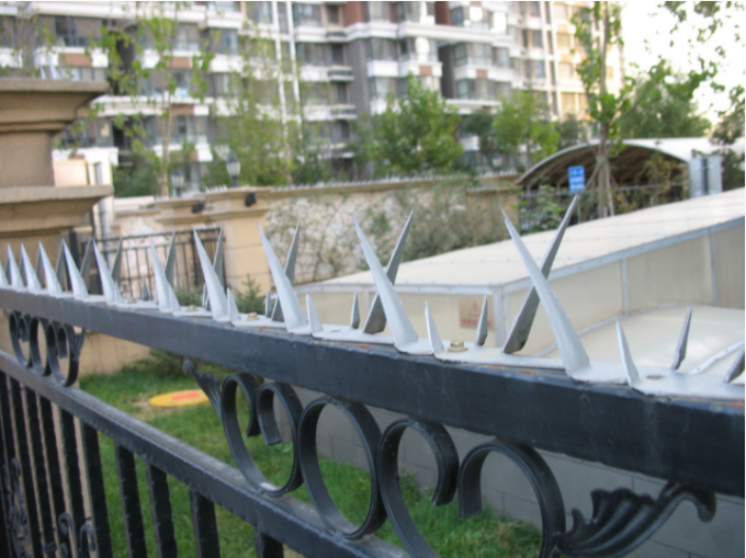 Medium Size Anti Climbed Wall Security Spikes For Fence Of Galvanized Sheet