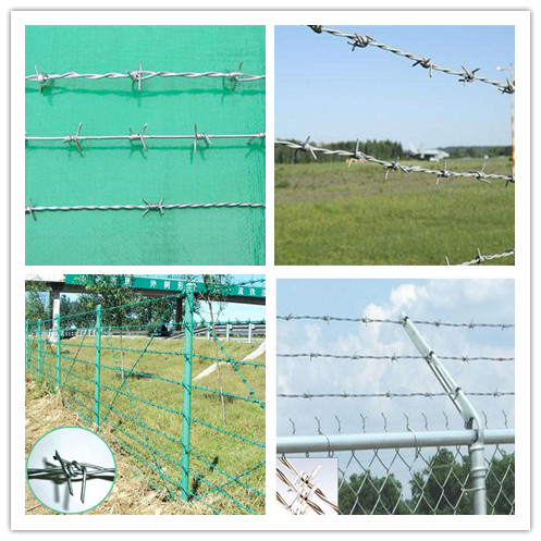 Price Meter Security Barbed Wire In Egypt Zinc Coated 15kg / Coil Weight