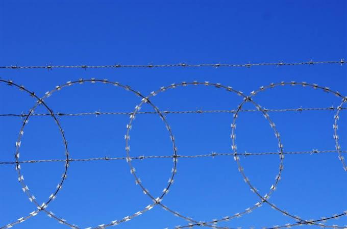 Standard Barb Wire Strip Flat Wrap Razor Wire / Razor Sharp Wire ...