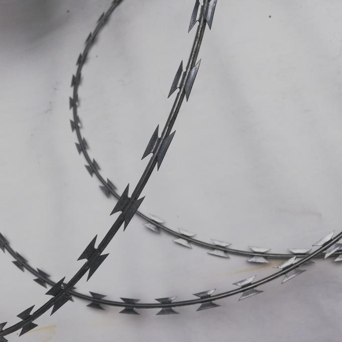 Roll Type Razor Blade Wire Barbed Tape Protect Border And Key Project ...