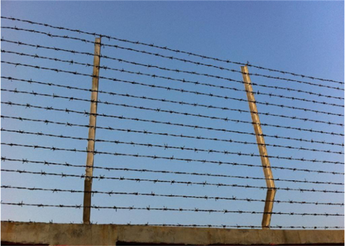 Galvanized Security Barbed Wire Iowa Type Traditional Not Razor Type