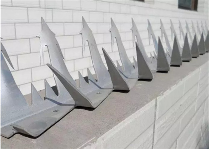 Galvanized Steel Razor Barbed Wire Anti Climb Wall Spikes Wooden Box ...