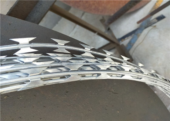 SS 304 316 Stainless Steel Razor Wire Razor Barbed Wire Spiral BTO 10 ...